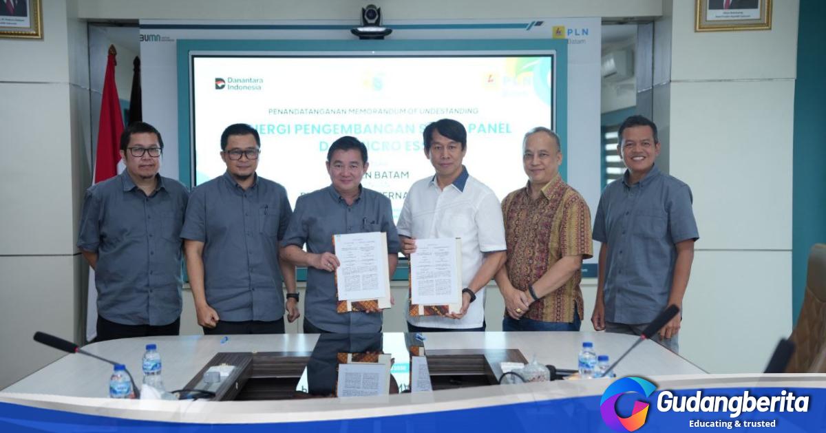 PLN Batam Gandeng PT Avecode Internasional Kembangkan Solar Panel dan ...