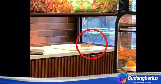 Viral! Tikus Terekam di Etalase Roti Morning Bakery Tiban, Netizen ...